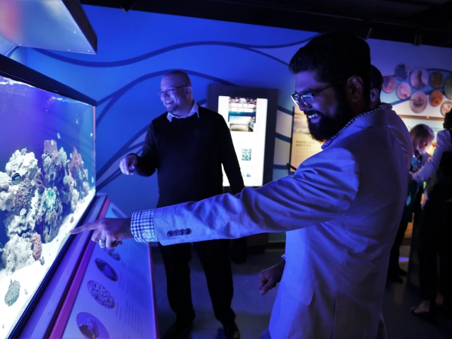 Undersea Discovery - Aquarium Exhibit in Tucson | Flandrau Science ...