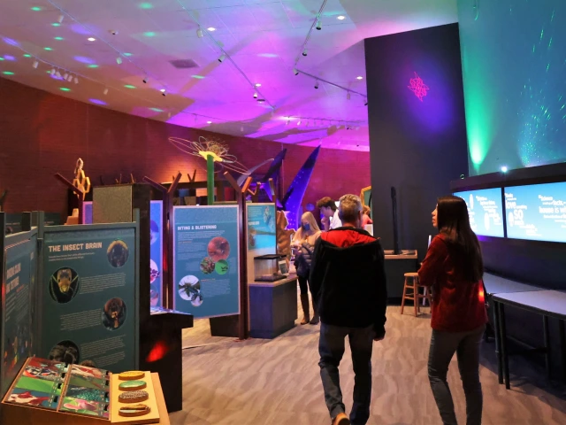 Laser Light Music Nights | Flandrau Science Center & Planetarium