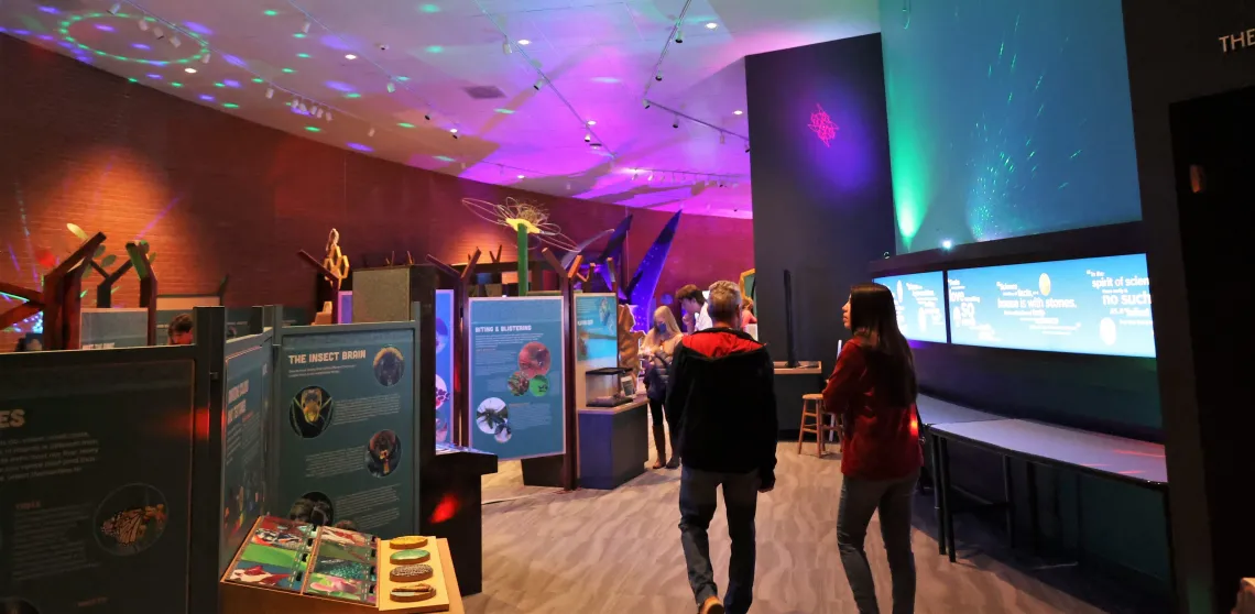 Laser Light Music Nights | Flandrau Science Center & Planetarium